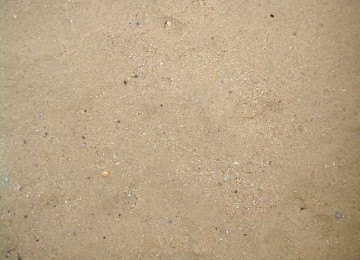 Matériaux - Equisol Le sol equestre dynamique